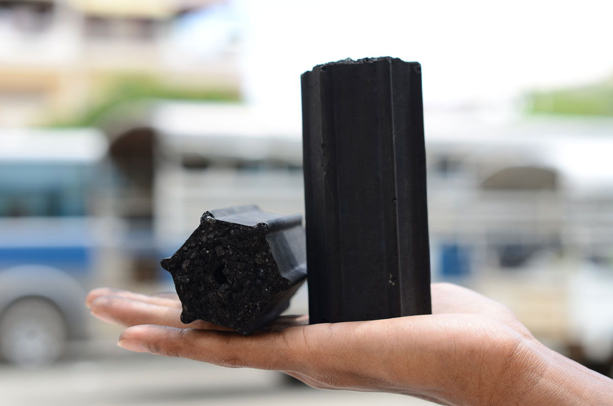 Sustainable Charcoal - Focus