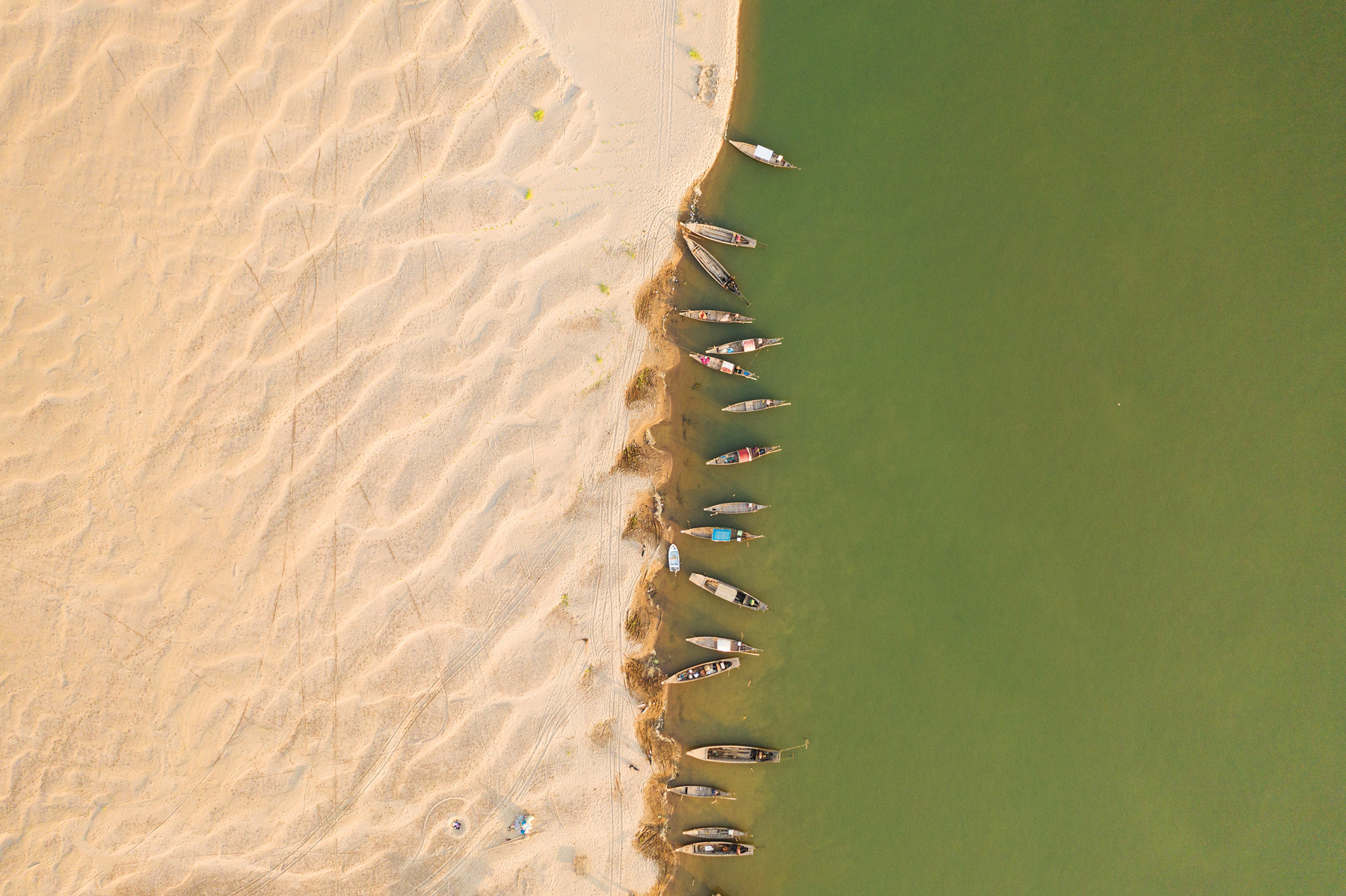 Focus - Ready for tomorrow