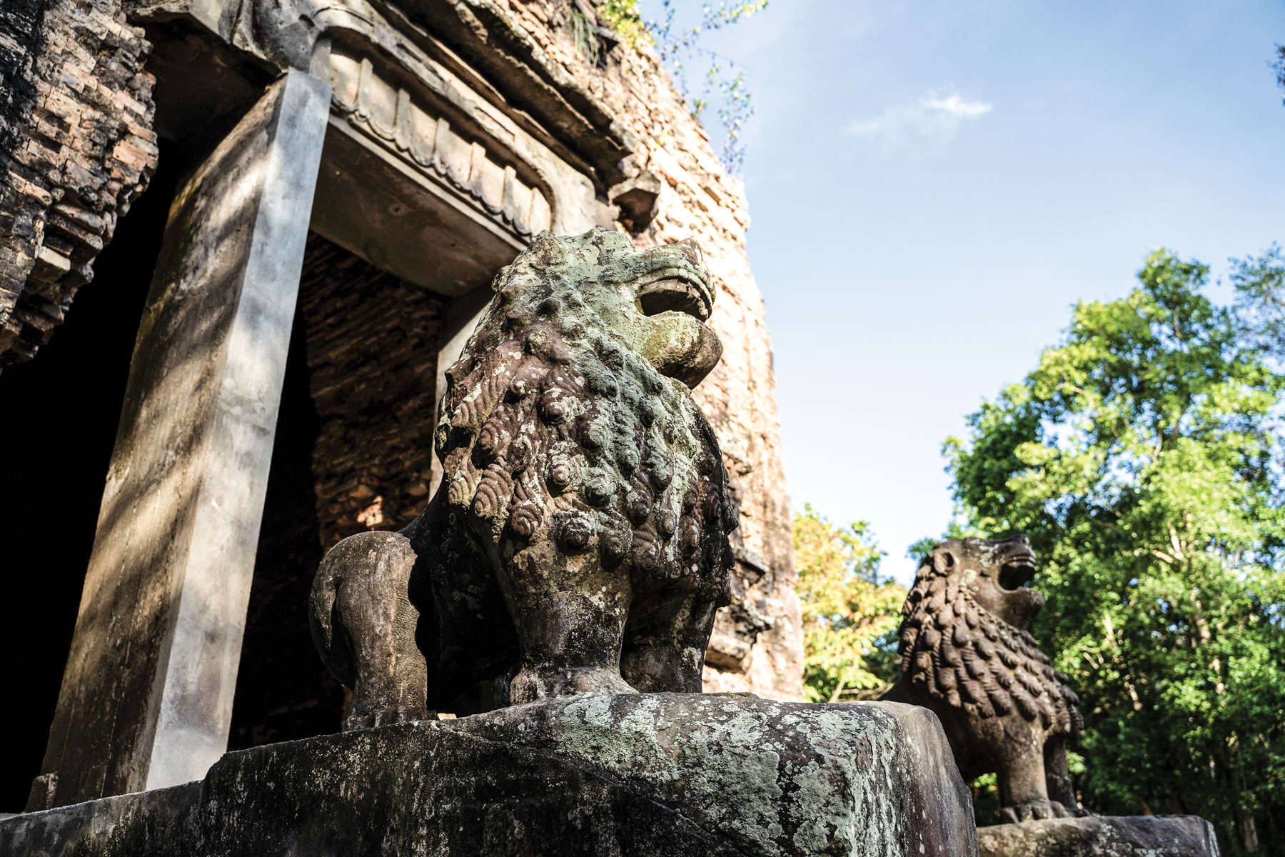 The temple in the richness of the forest - Focus