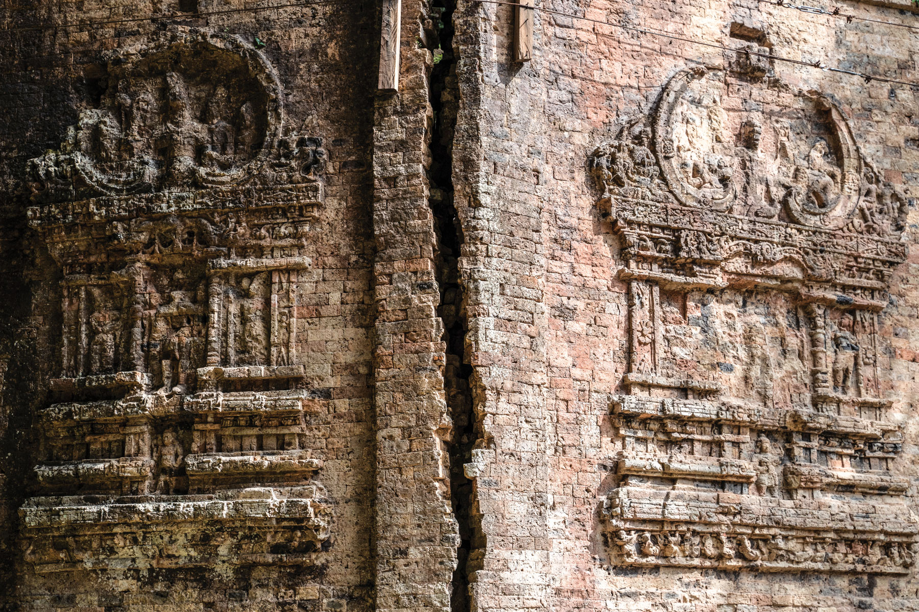 The temple in the richness of the forest - Focus