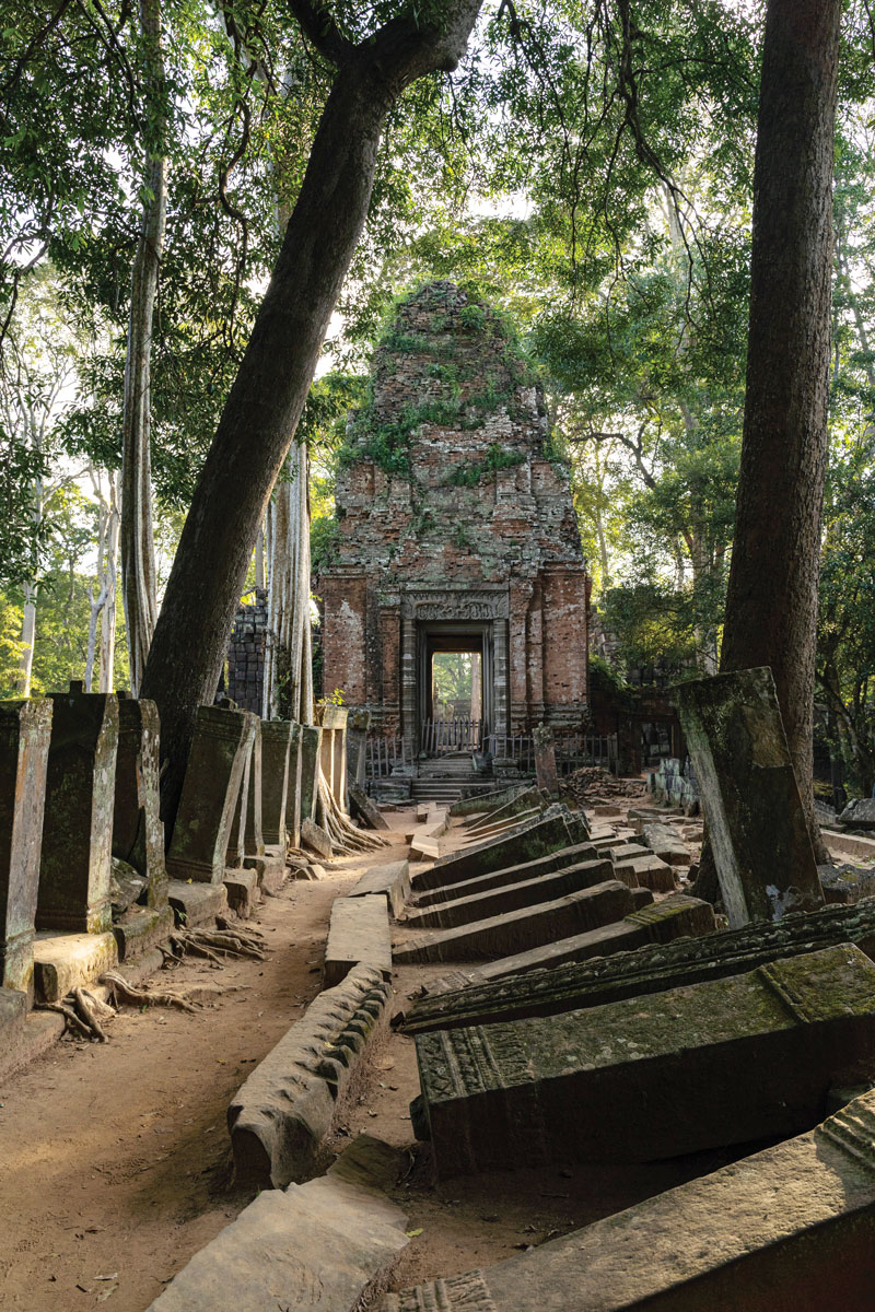Beneath the canopy - Focus Cambodia