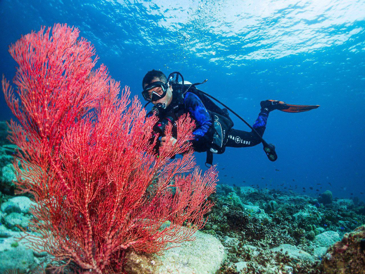 Sunken ships and diving dreams: Adventures in Cambodian seas - Focus ...