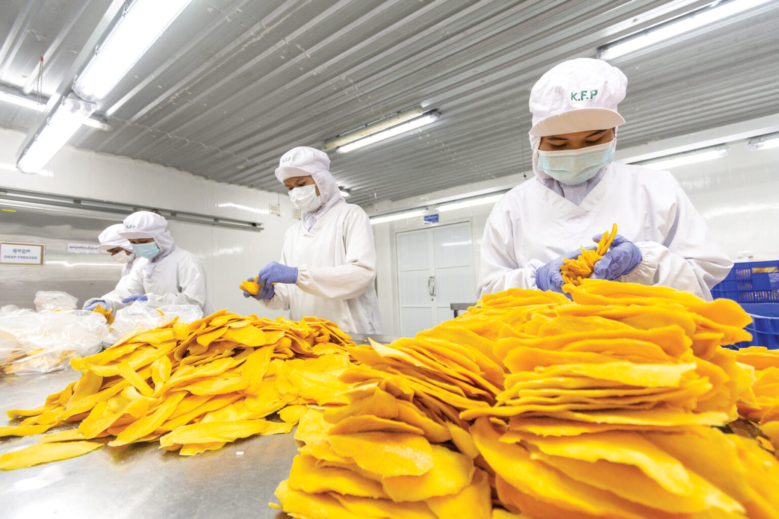 Quality is key - Focus Cambodia